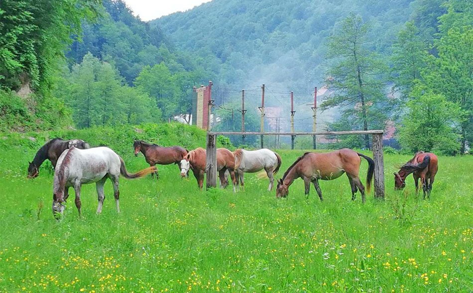 Eko selo Žumberak – CENTARZABAVE.com